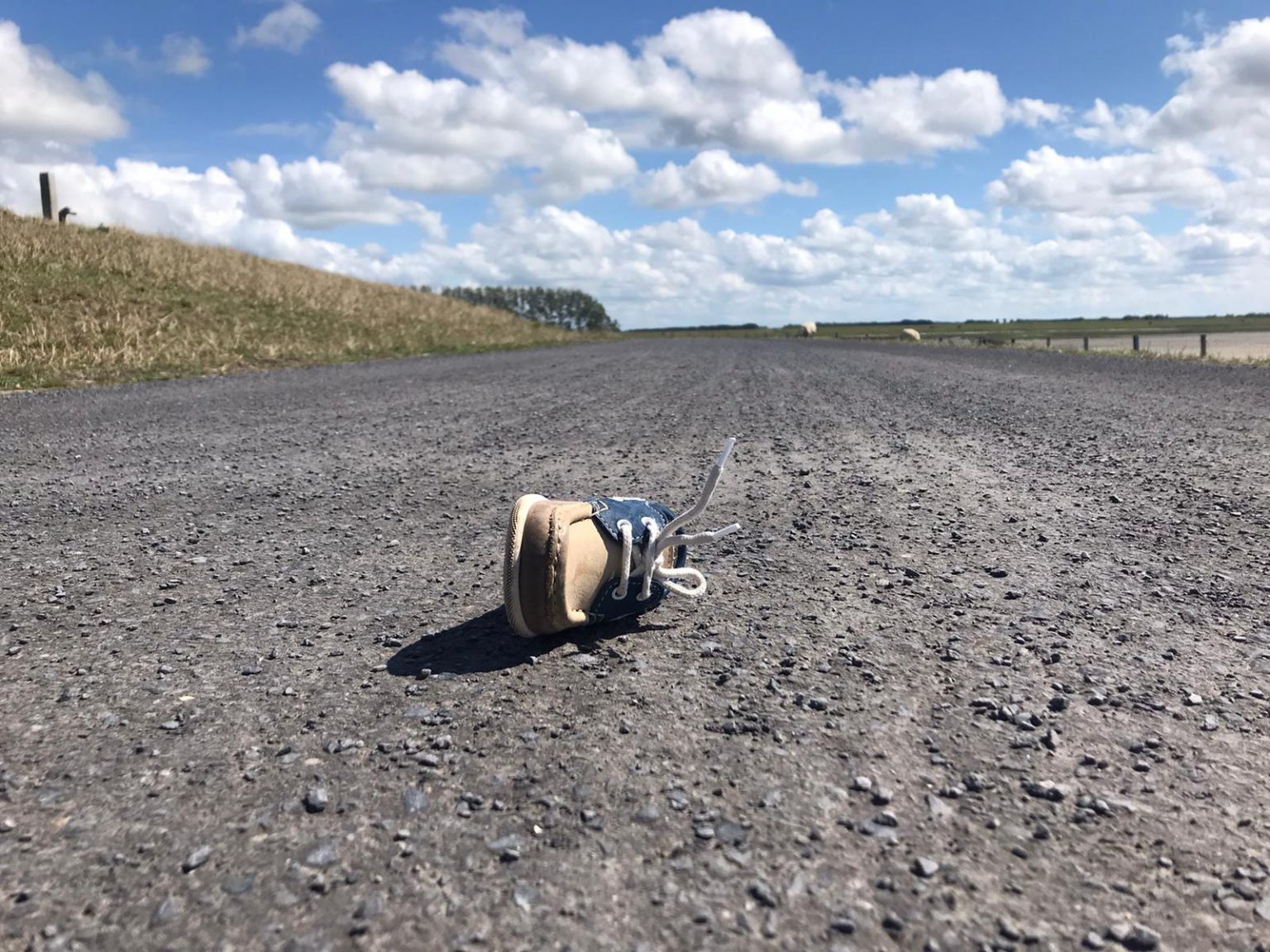 Homepage - performingborders