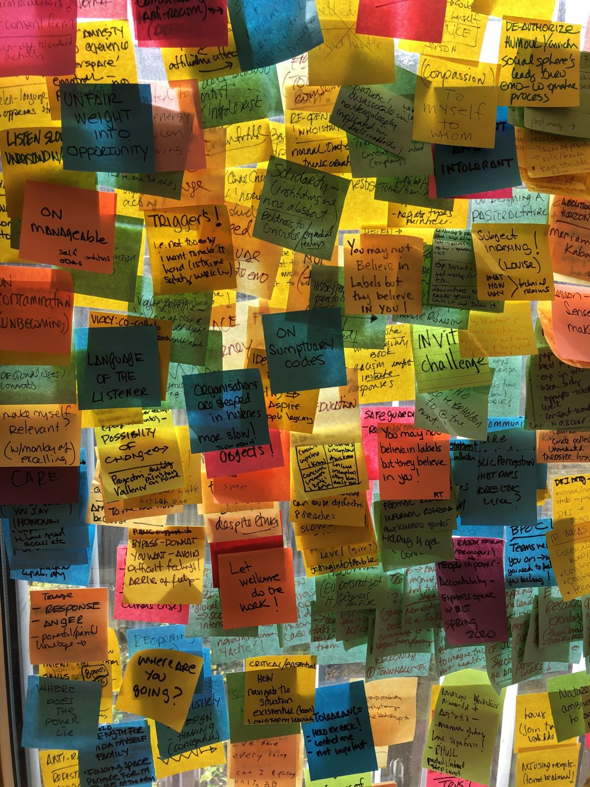 Homepage - performingborders