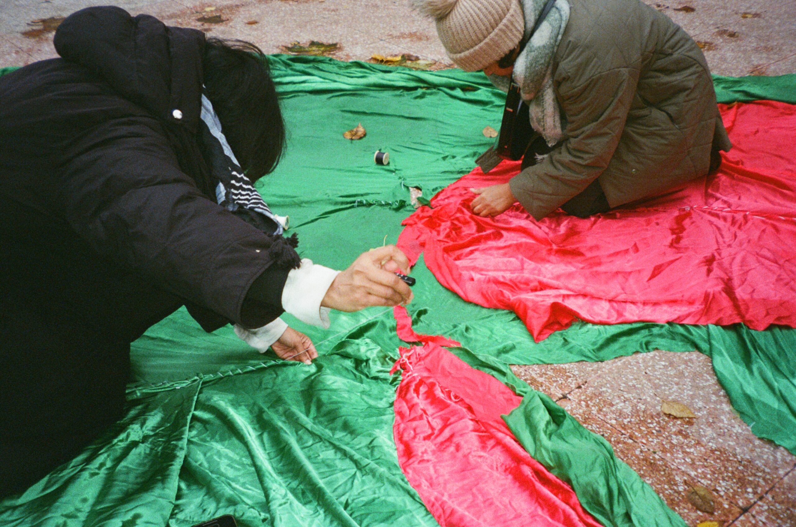 performingborders newsletter | March 2025 - performingborders